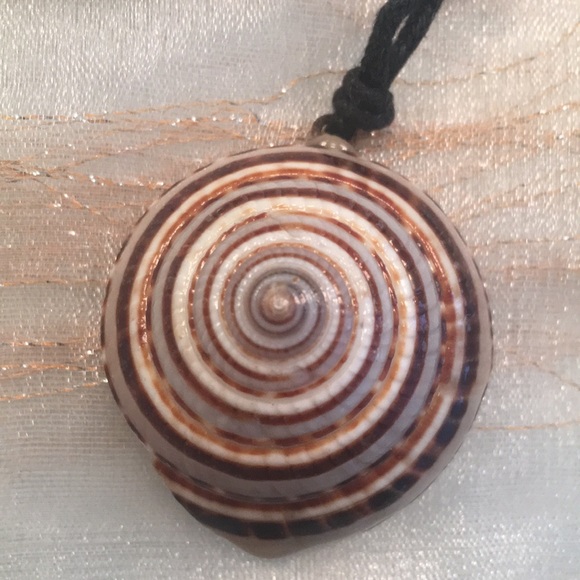 Jewelry | A Spiral Shell Necklace | Poshmark